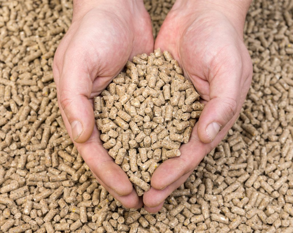 Turners Process Equipment | How can animal feed production be sustainable?